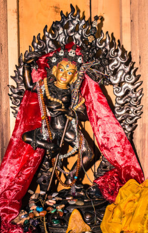 Buddha Visions